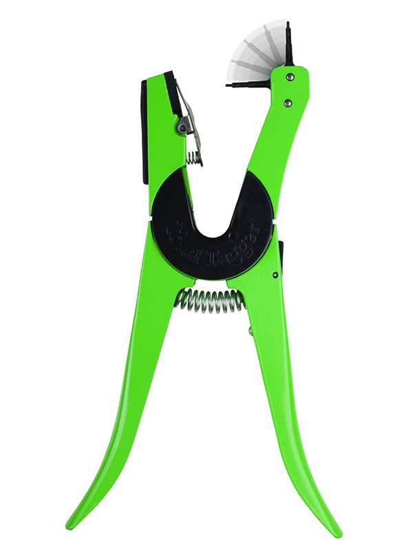 Cattle Electronic Tag (FDX) - Allflex Livestock Intelligence New Zealand