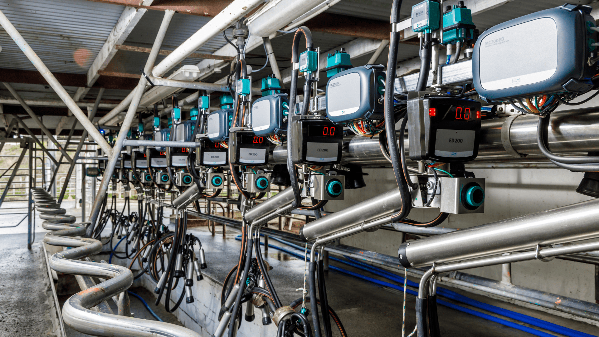 Animal Health - Allflex Livestock Intelligence New Zealand