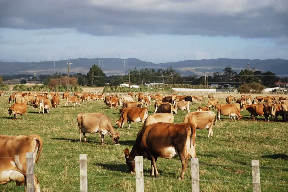 About Allflex - Allflex Livestock Intelligence New Zealand