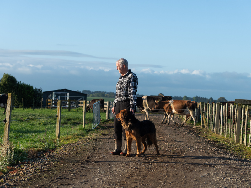Identification - Allflex Livestock Intelligence New Zealand