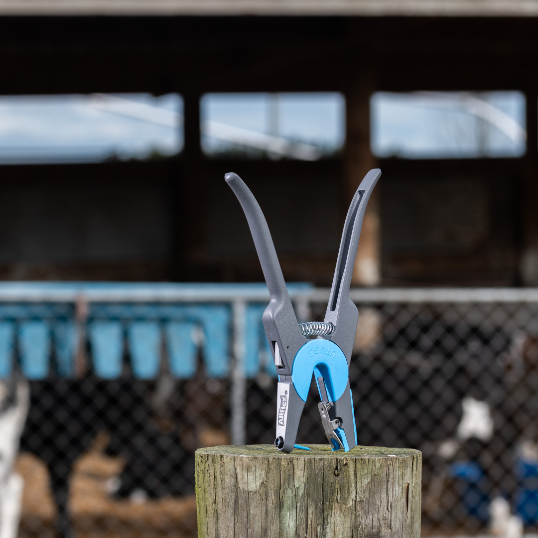 Identification - Allflex Livestock Intelligence New Zealand