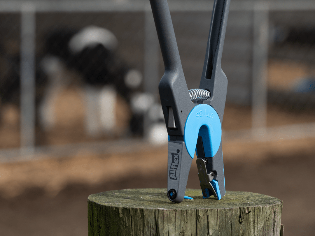 Identification campaign - Allflex Livestock Intelligence New Zealand