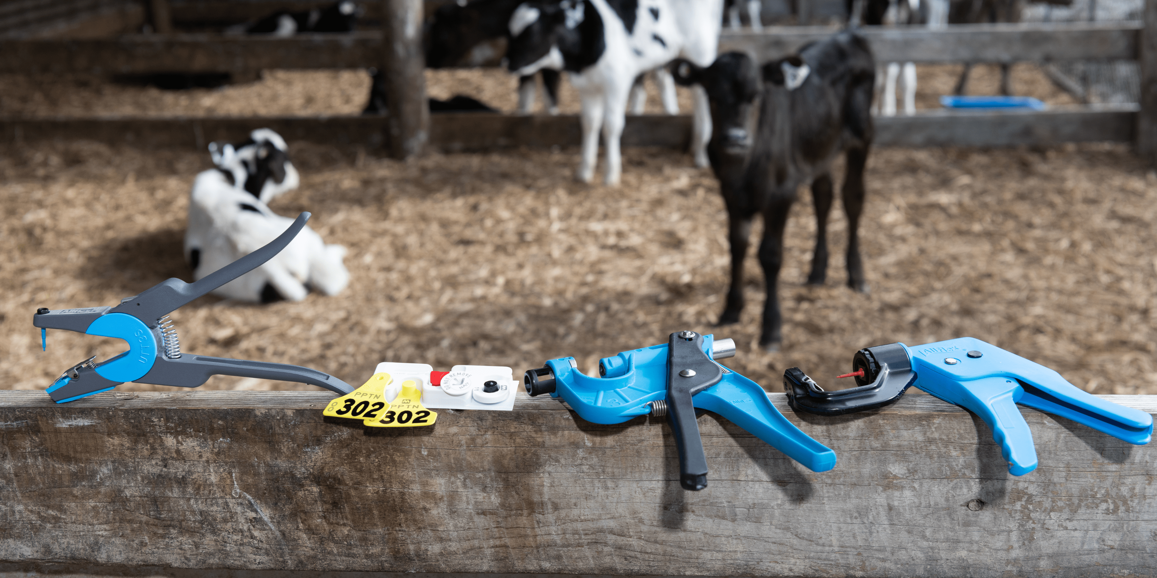 Sheep and Goat Tags - Allflex Livestock Intelligence New Zealand