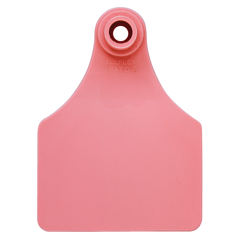 Visual Tag - Large Female - Allflex Livestock Intelligence New Zealand