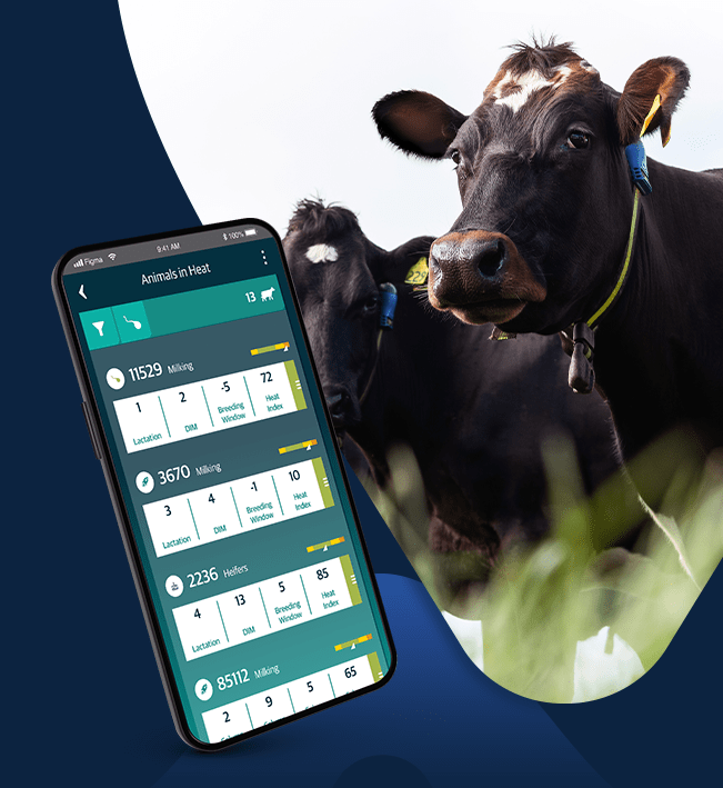 Allflex Livestock Intelligence NZ | ID, Monitoring & Health